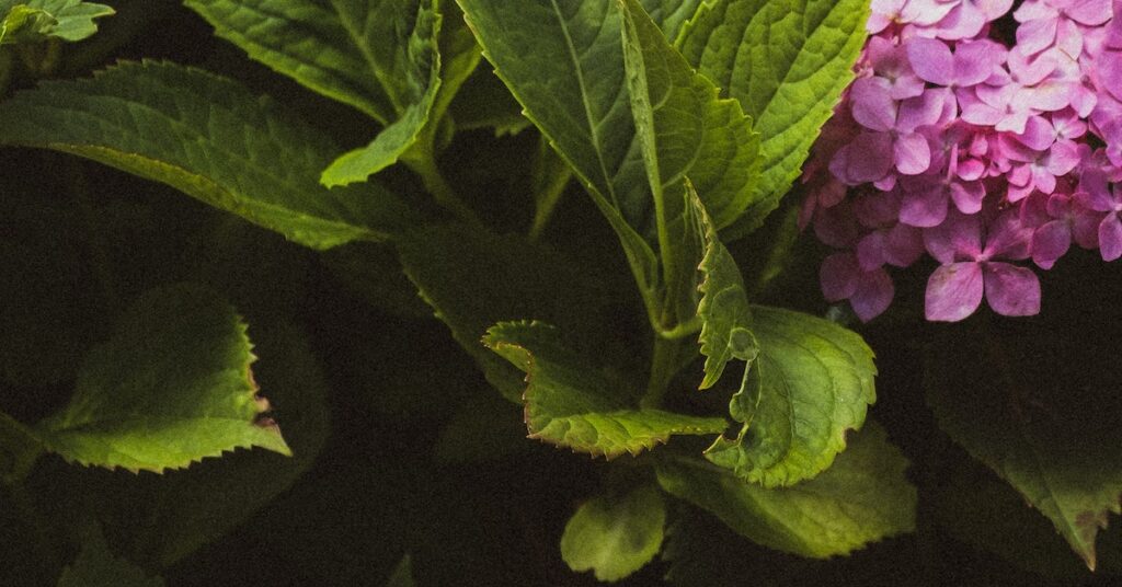 Achieving Recovery from a Substance Abuse Disorder | Cenikor