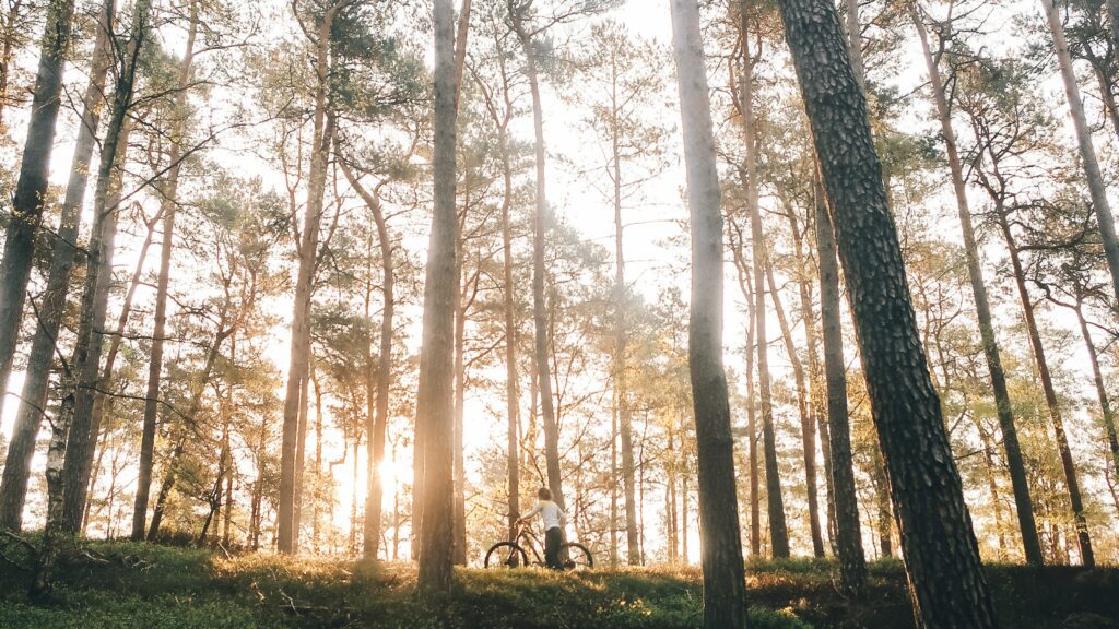 What Life is Like After Addiction Recovery | Cenikor